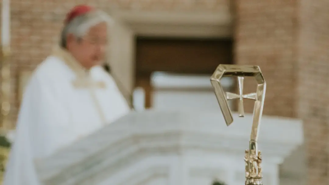 The US Catholic Bishops' Perplexing Path - Political Action Alerts News