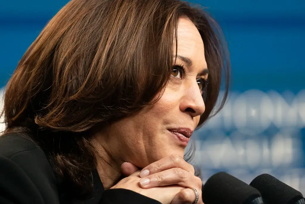 Kamala Harris Zoom Event With Oprah Exposes Another Embarrassing Snafu ...