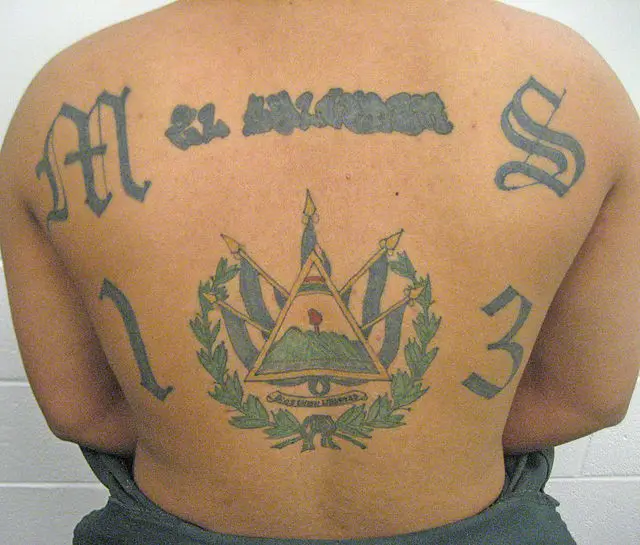 Bondi and Patel Lead Crackdown on MS-13 Amid weak Biden Era Policies ...
