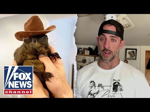 Government Overreach: Feds Raid P’Nut the Squirrel's Home - Political ...