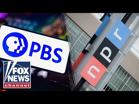NPR and PBS: Leading the Charge in Kids' Cultural Indoctrination ...