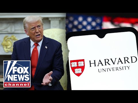 Harvard Under Fire: Prof Blasts Ivy League 'Cheating' Allegations - Political Action Alerts News