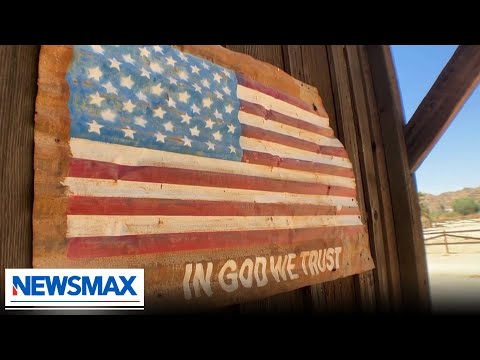 Democrats Fuel Anti-American Sentiment, Claims Tom Basile - Political ...