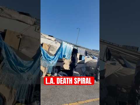Los Angeles in Crisis: Homelessness and Crime Turn City Into War Zone ...